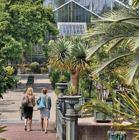 Bezoek Hortus botanicus Leiden met 20% korting | VriendenLoterij
